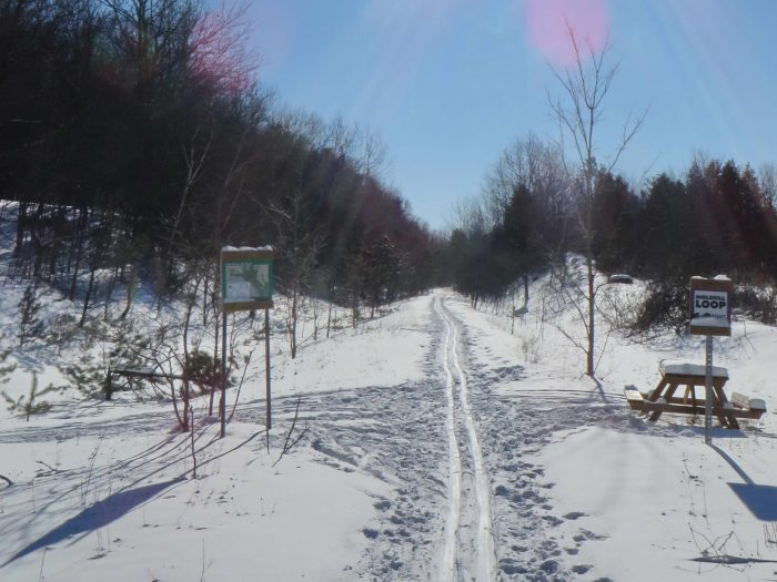 Wye Marsh - Ontario Ski Trails